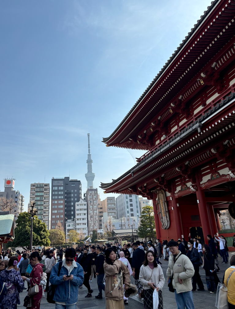 The Deep Cultural Roots of Matcha | Nomu Matcha NZ | Nomu Matcha