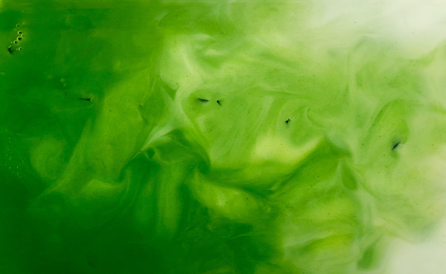 Find Us | Nomu Matcha